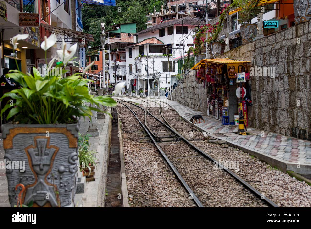 Aguas Calientes, Peru. 6th Jan, 2024. The train that takes visitors to ...