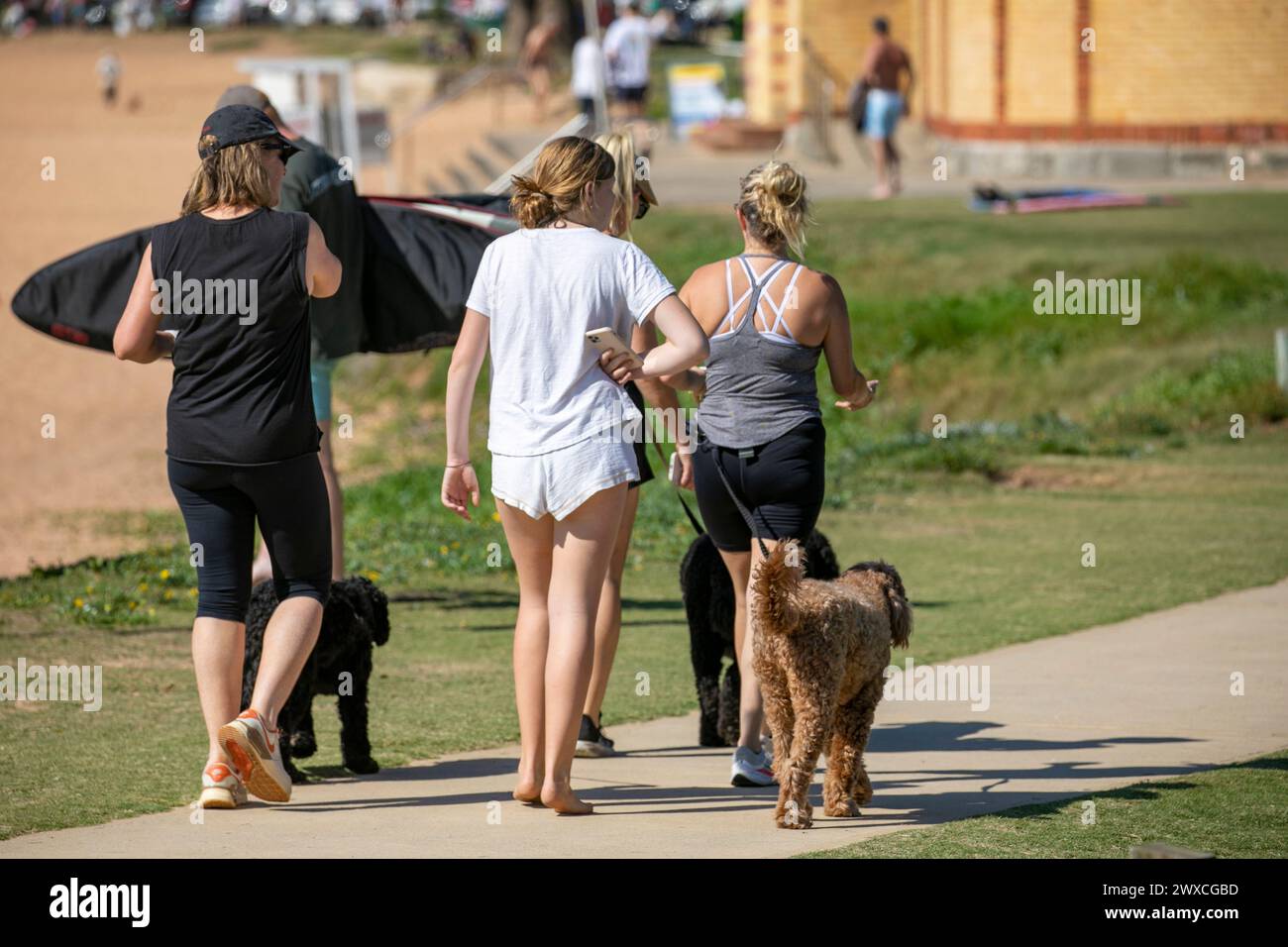 Walking friends autumn hi-res stock photography and images - Alamy