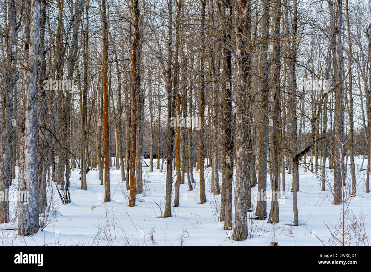 Tall floor hi-res stock photography and images - Alamy