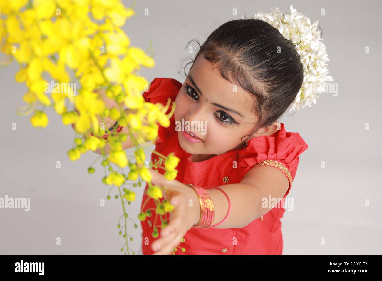 A cute small girl child wearing Kerala dress-golden colour long skirt and red blouse with golden ...