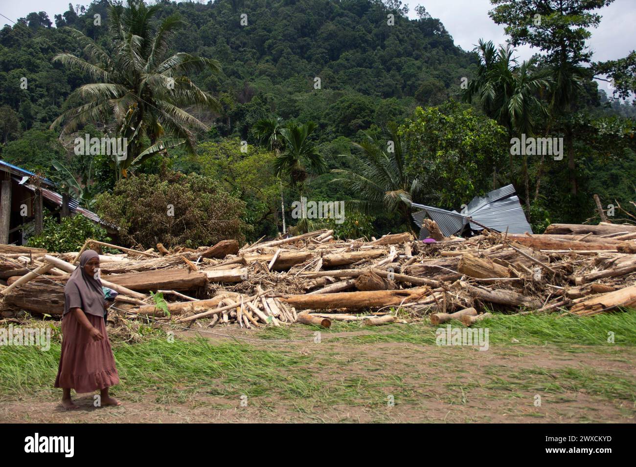 A woman walks near logs swept into a neighborhood affected by a flash ...