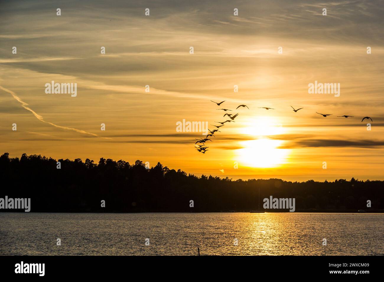 Ekoln hi-res stock photography and images - Alamy