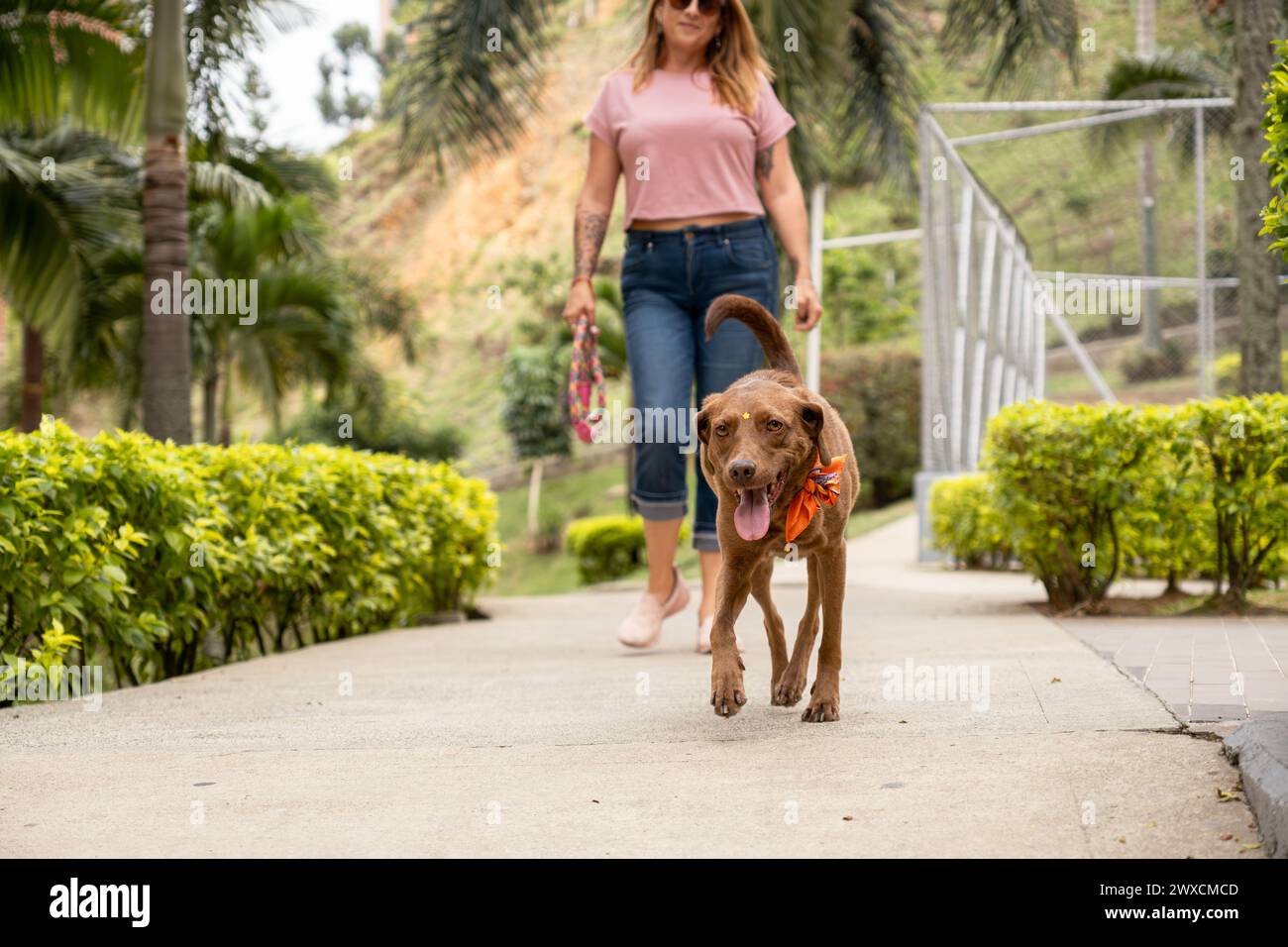 A woman wearing sunglasses smiles as she watches her unleashed dog ...