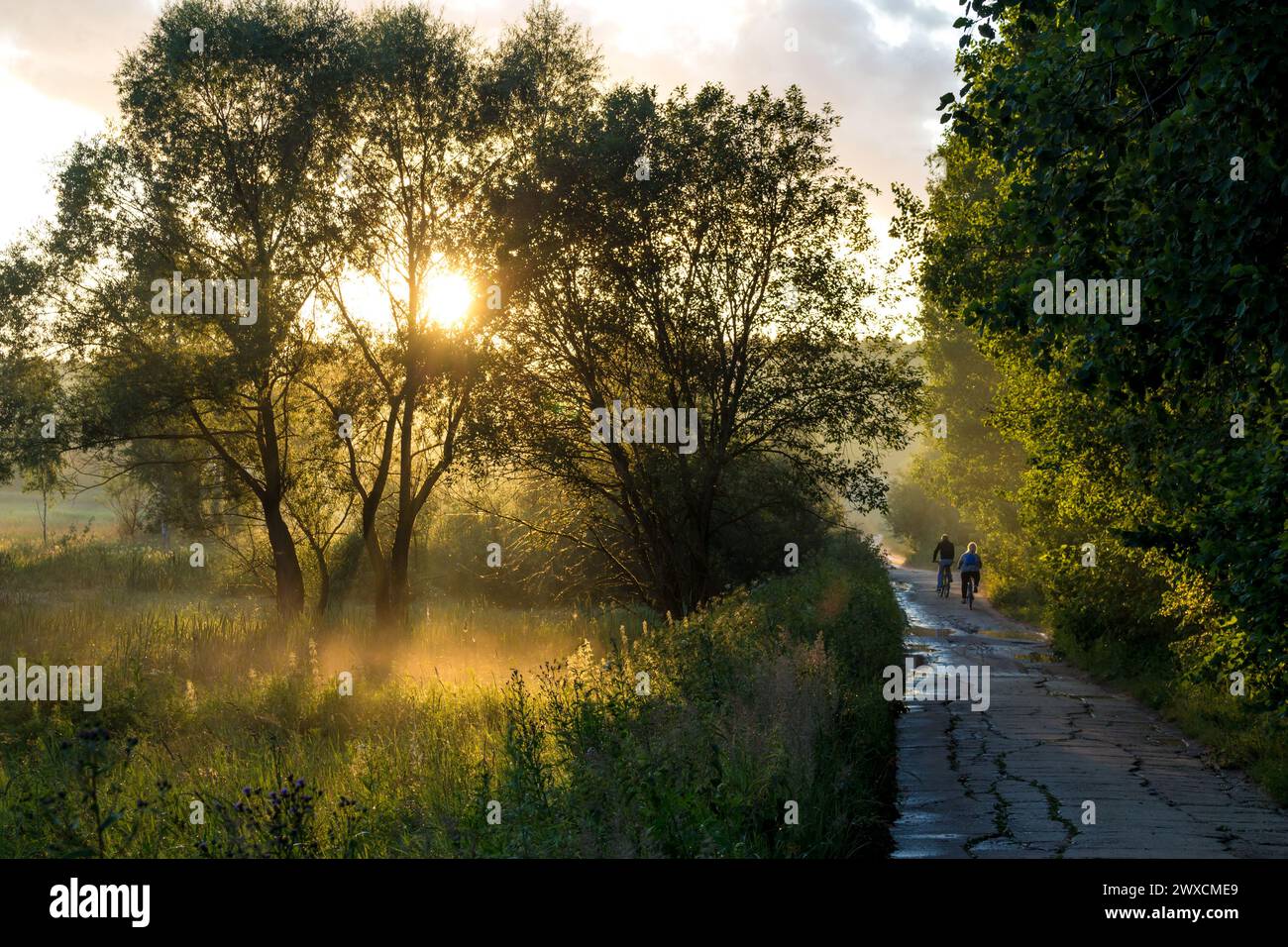 Light haze after rain at sunset and a quiet path with cyclists Stock ...