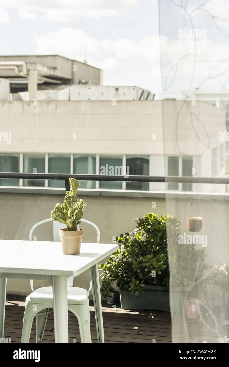 A terrace full of plants with smooth light blue metal furniture Stock ...
