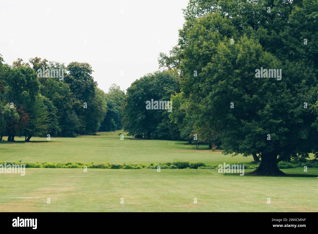 Beautiful park landscape green hi-res stock photography and images - Alamy