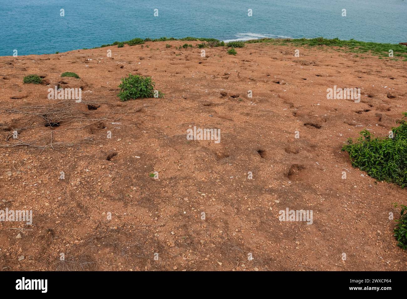 Coastal opportunities hi-res stock photography and images - Alamy