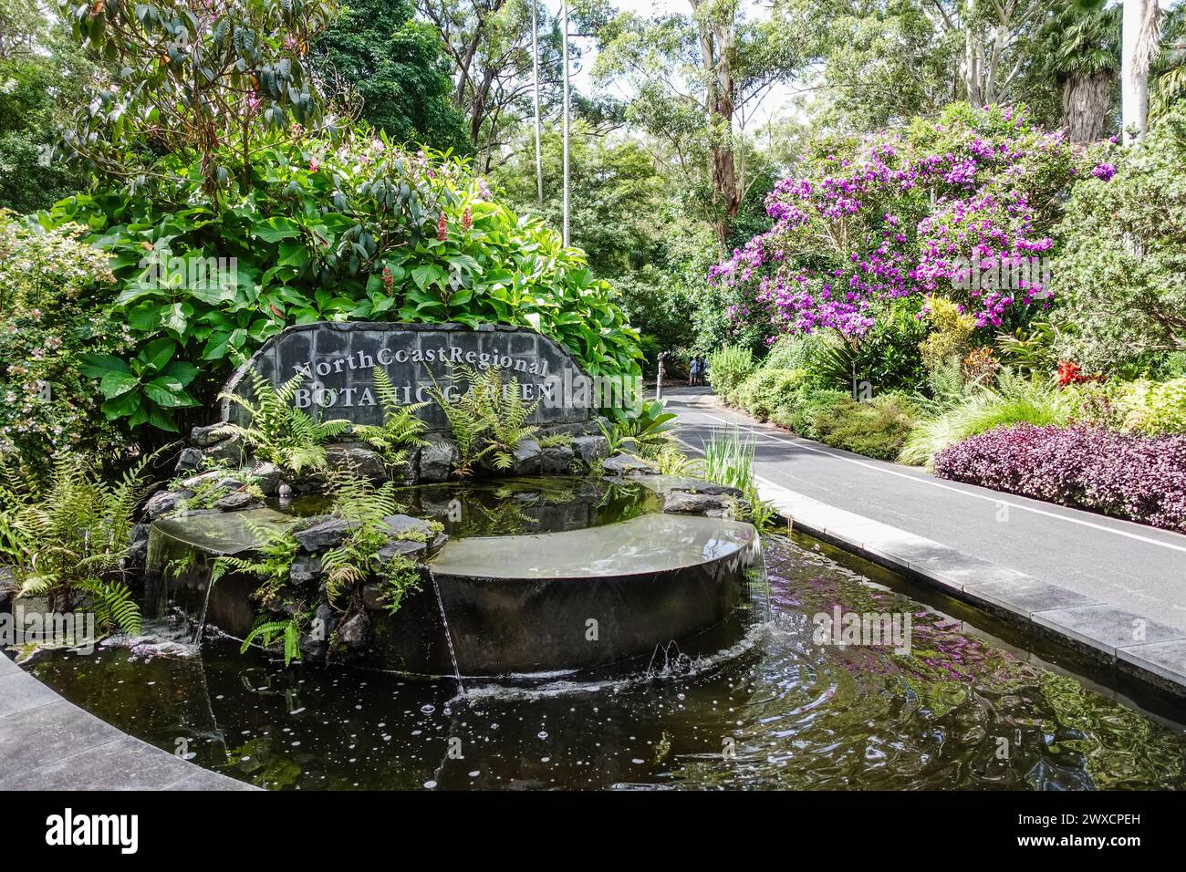 The North Coast Regional Botanic Garden in Coffs Harbour showcases ...
