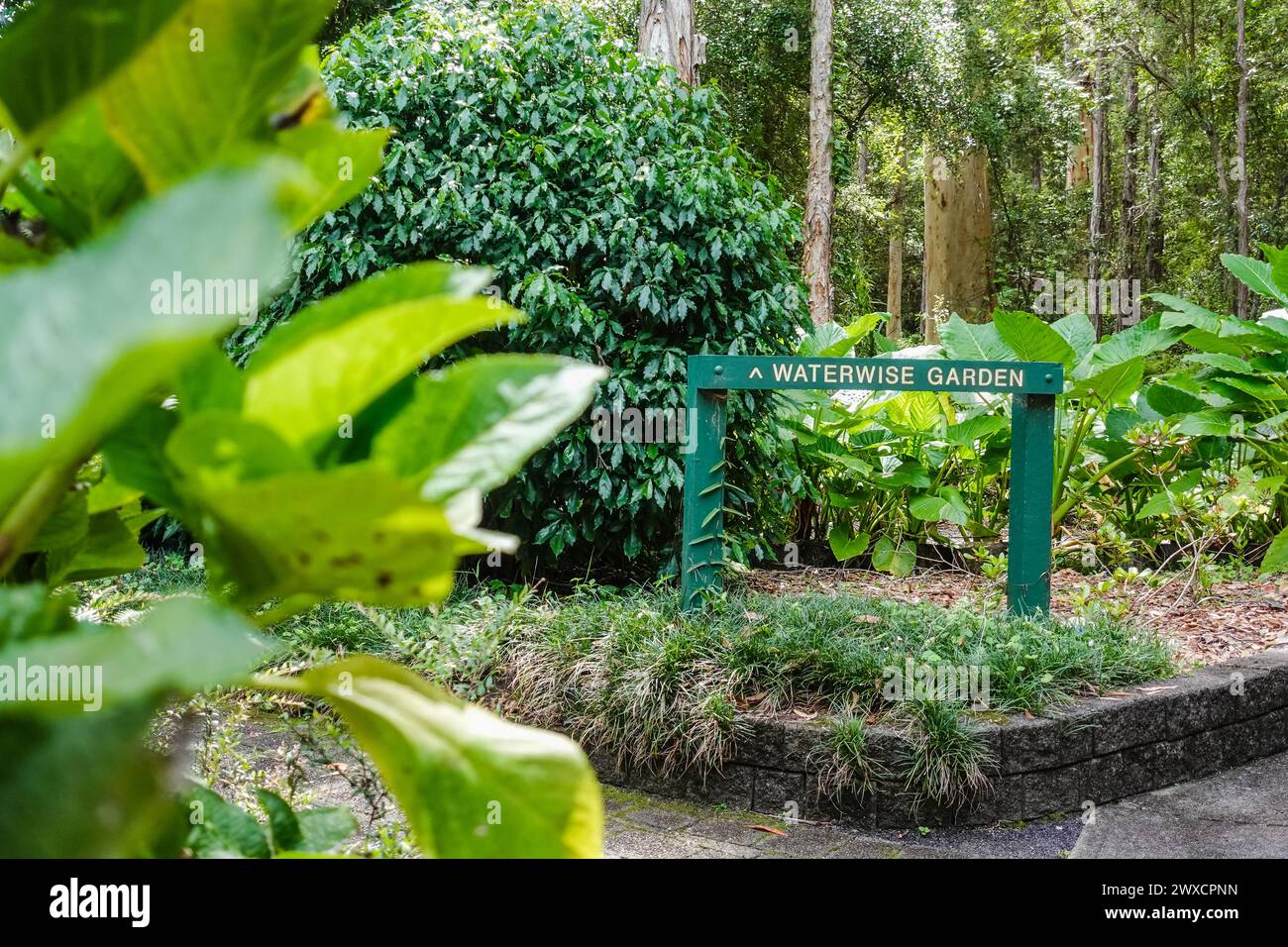 The North Coast Regional Botanic Garden in Coffs Harbour showcases ...