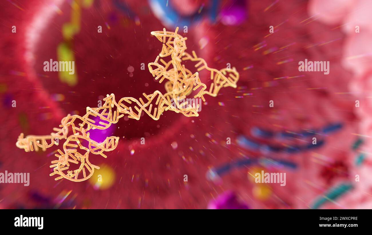Illustration of an RNA (ribonucleic acid) obelisk in the human gut. RNA ...