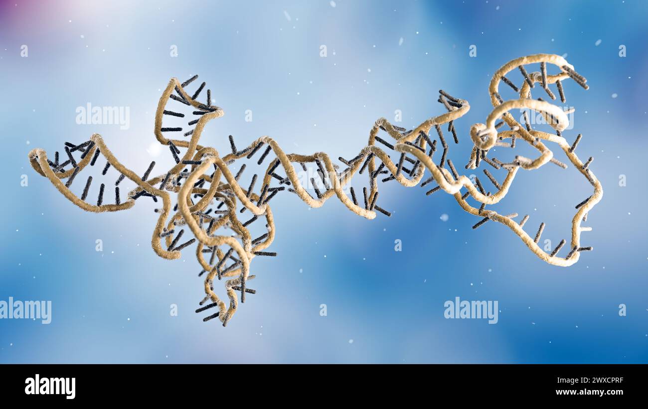 Illustration of an RNA (ribonucleic acid) obelisk. RNA obelisks are ...