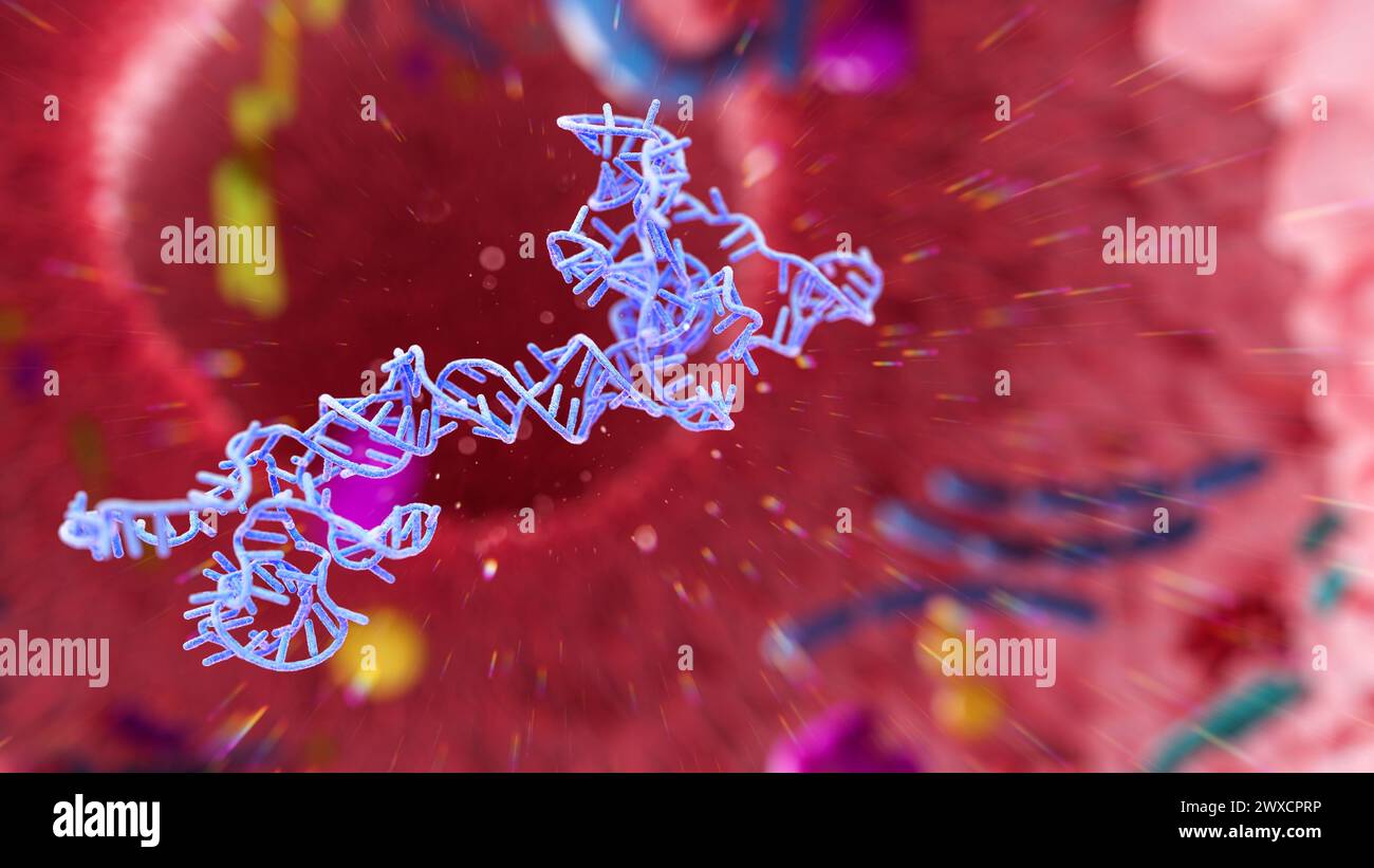 Illustration of an RNA (ribonucleic acid) obelisk in the human gut. RNA ...