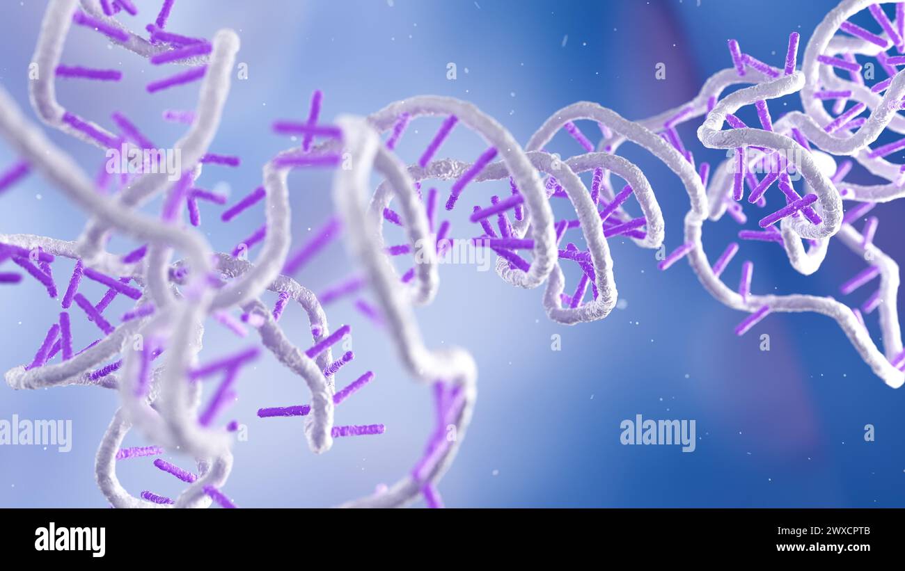 Illustration of an RNA (ribonucleic acid) obelisk. RNA obelisks are ...