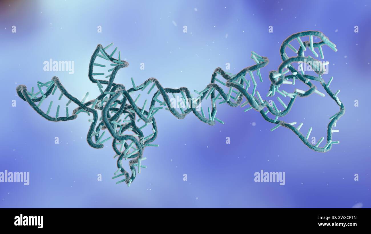 Illustration of an RNA (ribonucleic acid) obelisk. RNA obelisks are ...