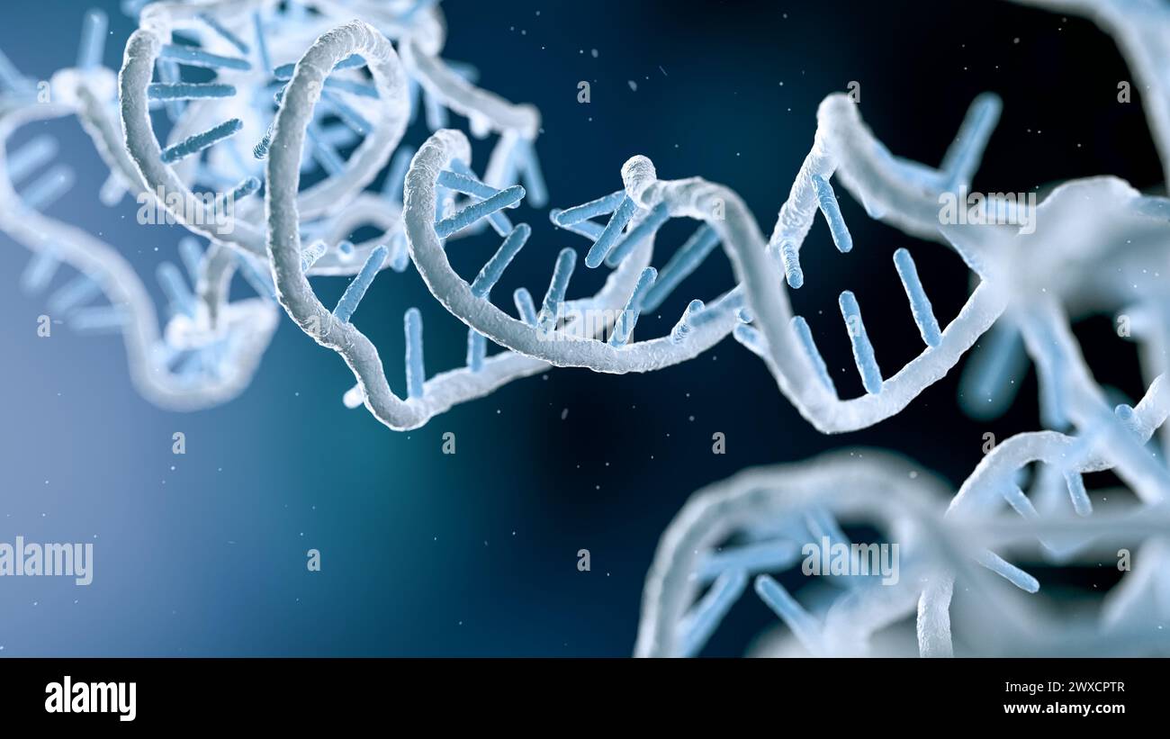 Illustration of an RNA (ribonucleic acid) obelisk. RNA obelisks are ...