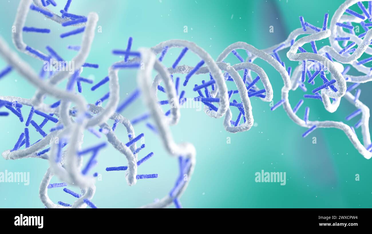 Illustration of an RNA (ribonucleic acid) obelisk. RNA obelisks are ...