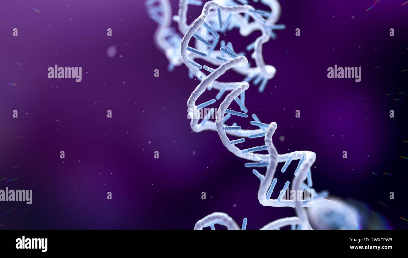 Replicating rna hi-res stock photography and images - Alamy