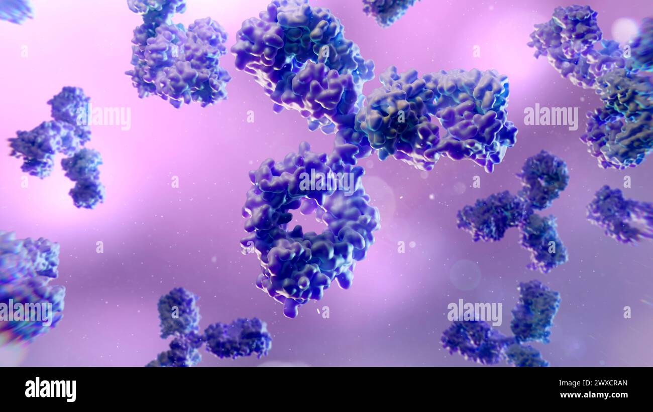 Illustration of antibodies, based on the 3D structure of human ...