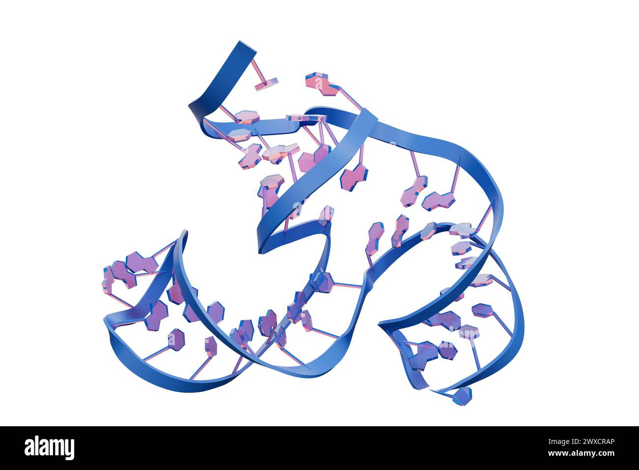 Structure of an aptamer Cut Out Stock Images & Pictures - Alamy