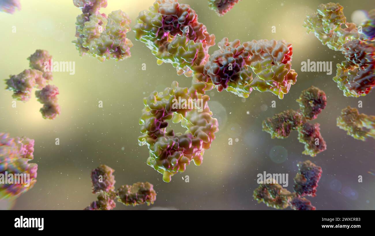Illustration of antibody technologies, based on the 3D structure of ...
