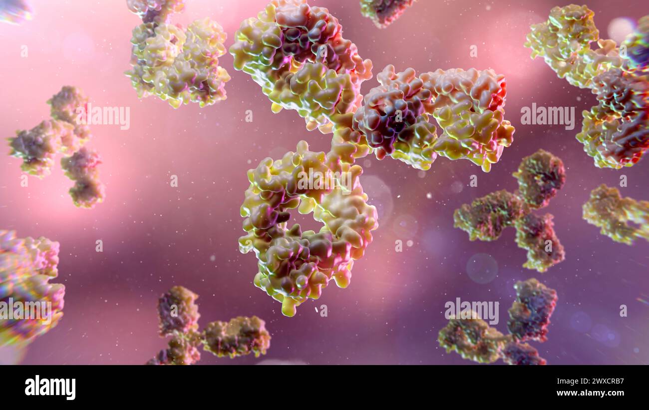 Illustration of antibodies, based on the 3D structure of human ...