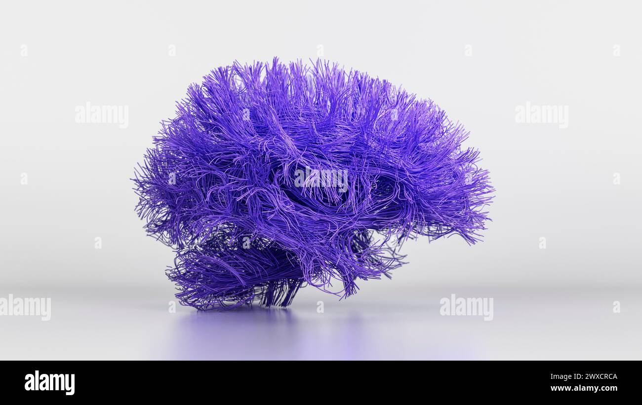 Illustration of human brain nerve tracts (neural pathways), based on ...