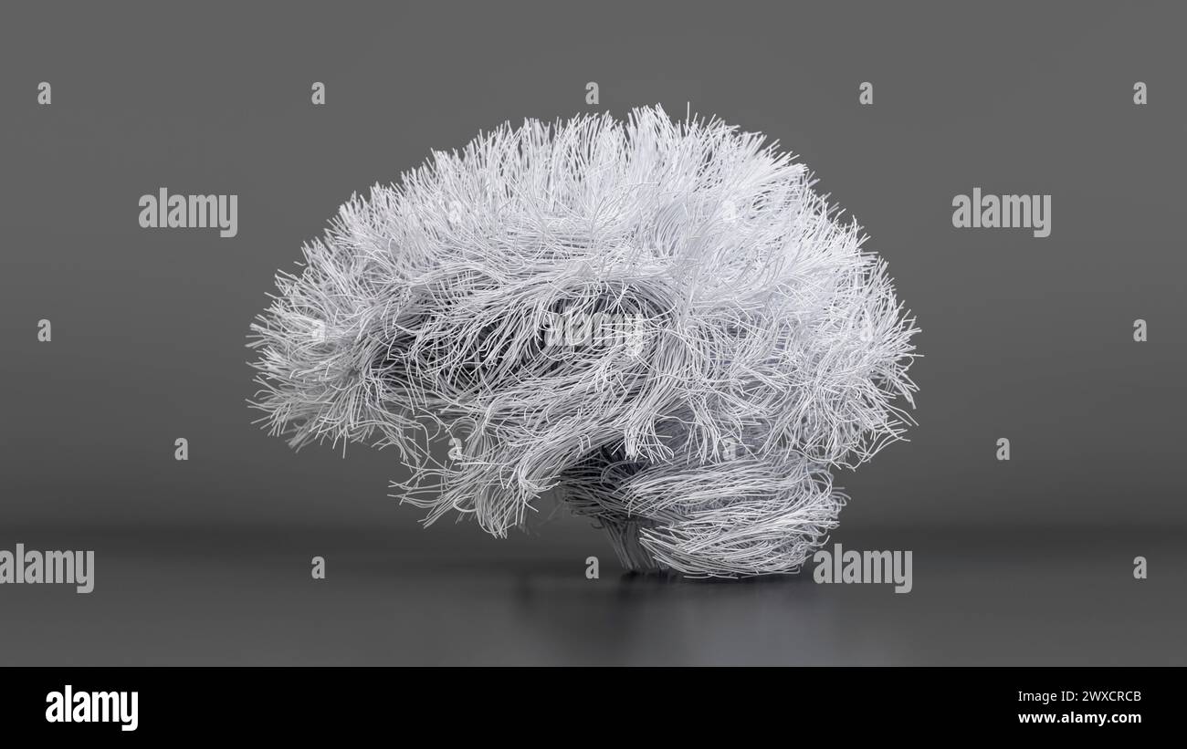 Illustration of human brain nerve tracts (neural pathways), based on ...