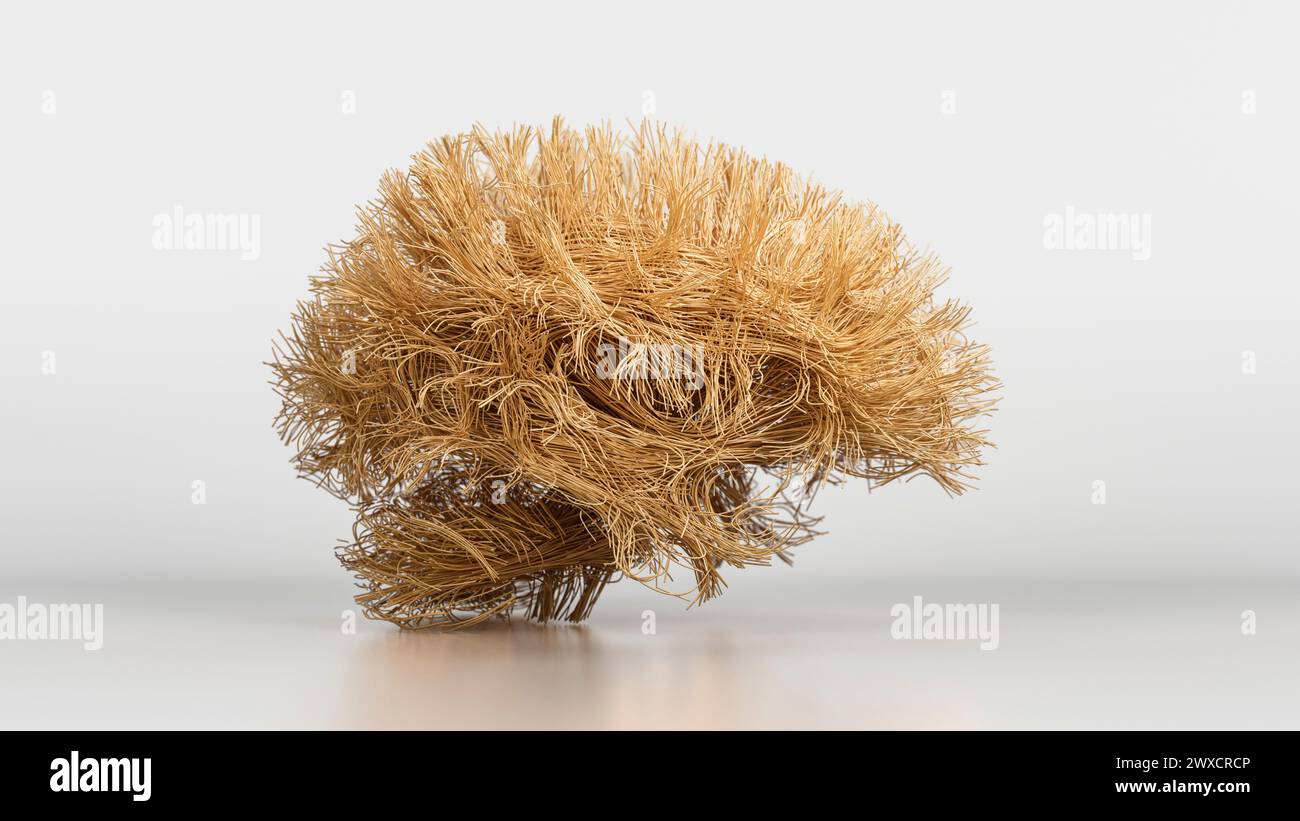 Illustration of human brain nerve tracts (neural pathways), based on ...