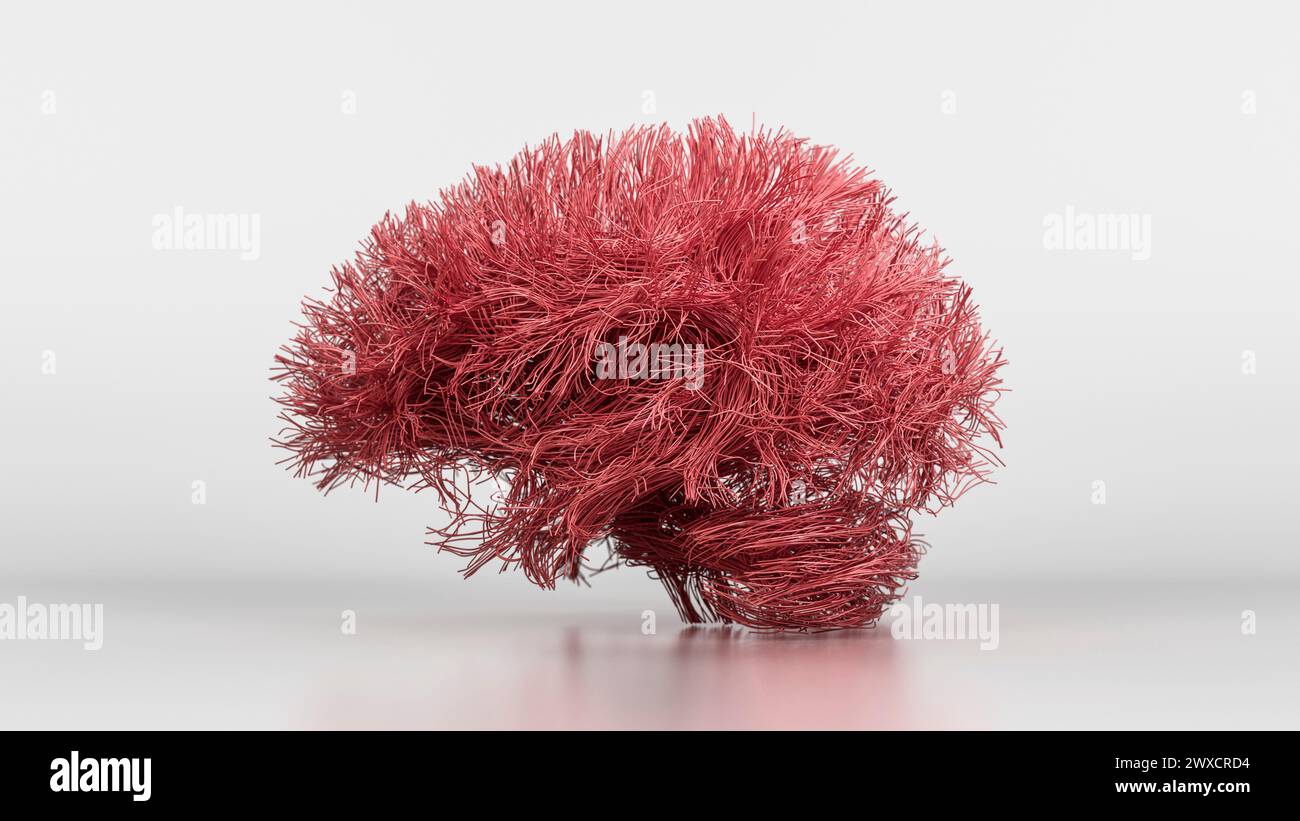 Illustration of human brain nerve tracts (neural pathways), based on ...