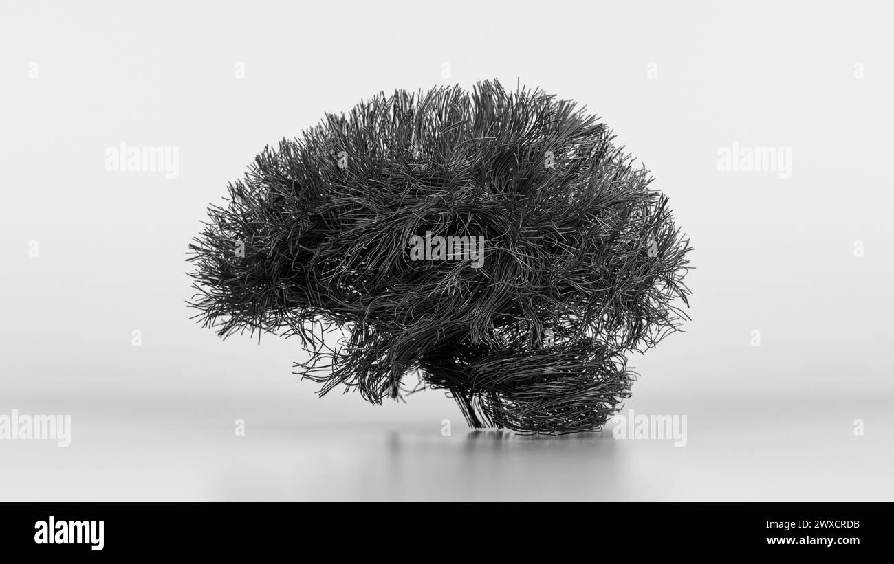 Illustration of human brain nerve tracts (neural pathways), based on ...