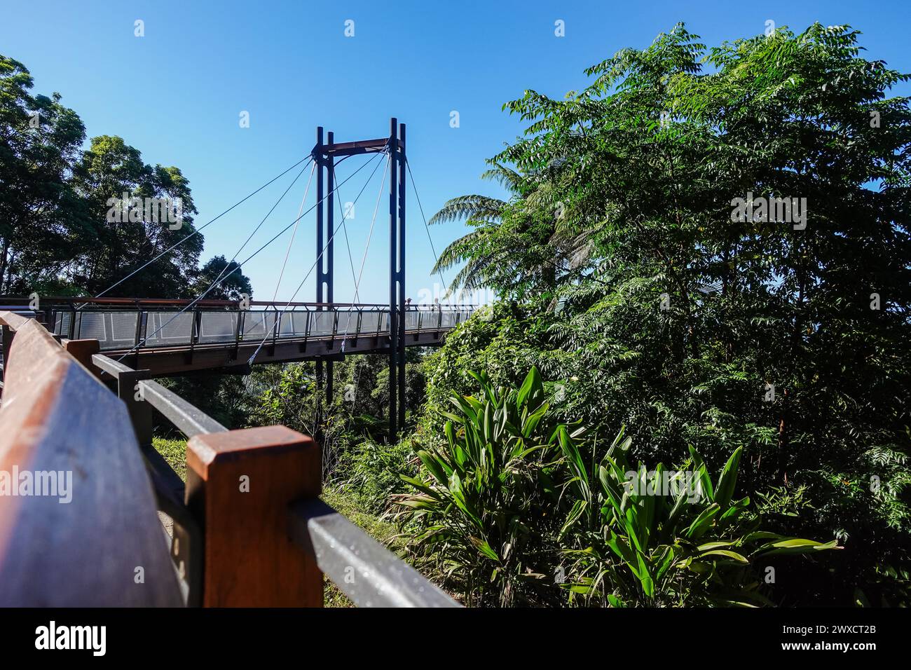 Australian lookout forest sky pier hi-res stock photography and images ...