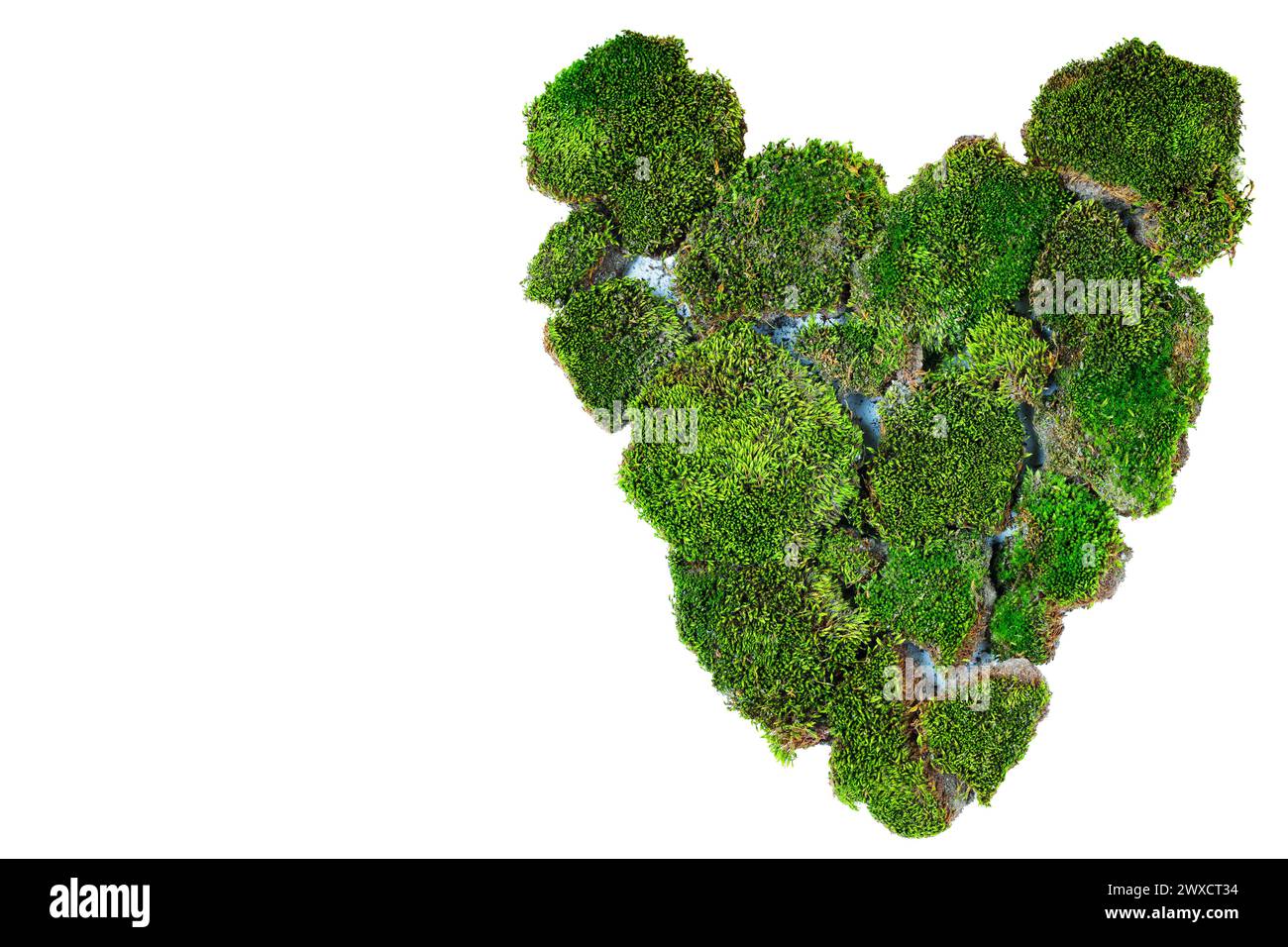 Heart-Shaped Green Moss Figure on White Isolated Background, Earth Day ...