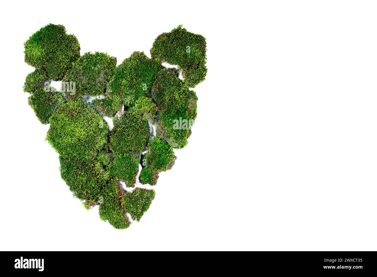 Heart-Shaped Green Moss Figure on White Isolated Background, Earth Day ...