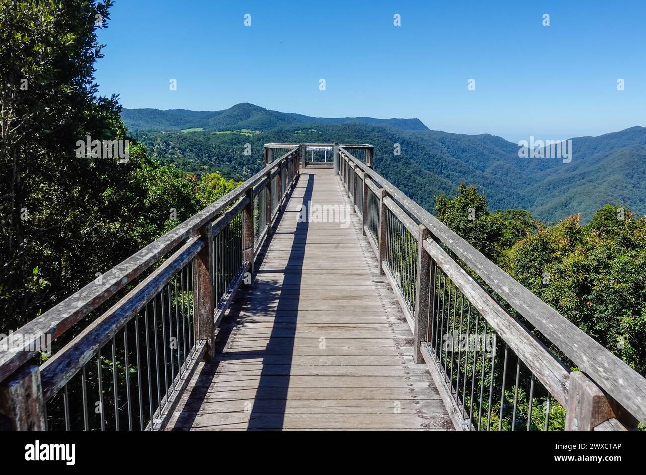 Dorrigo rainforest centre sky walk hi-res stock photography and images ...