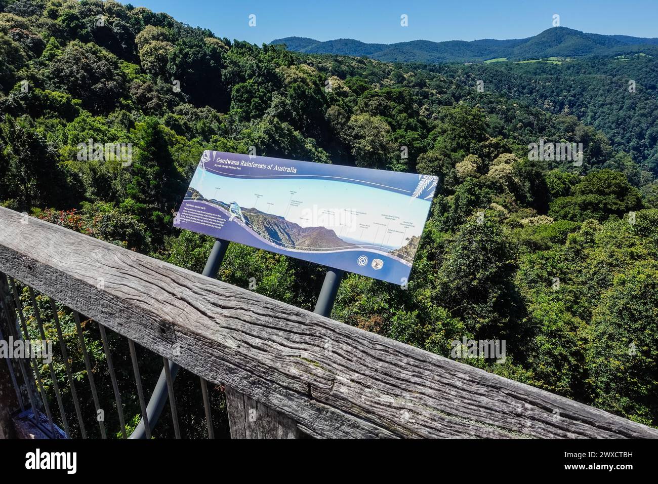 Dorrigo skywalk hi-res stock photography and images - Alamy