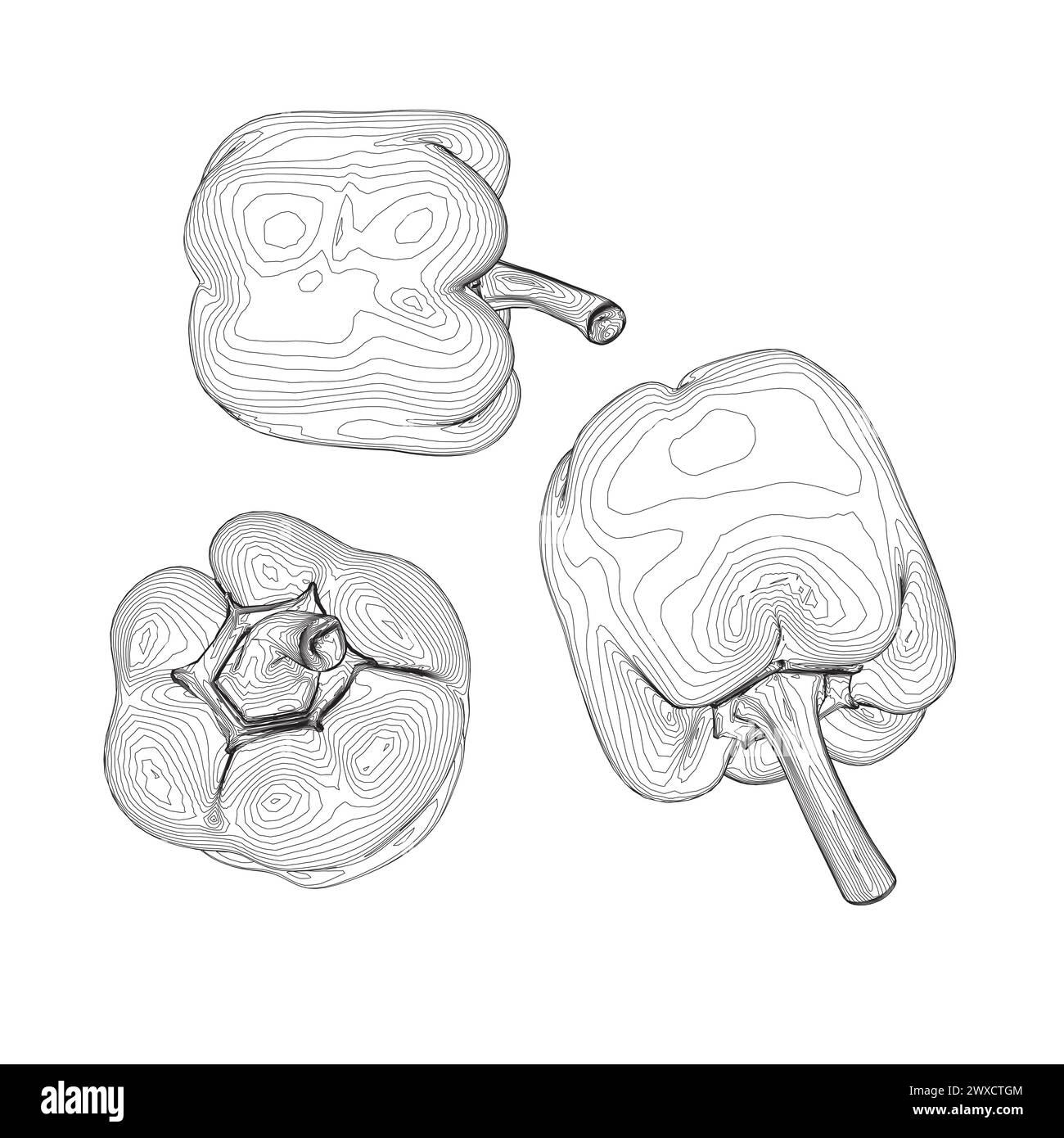 Set of Pepper logo template icon vector illustration. Black and white ...