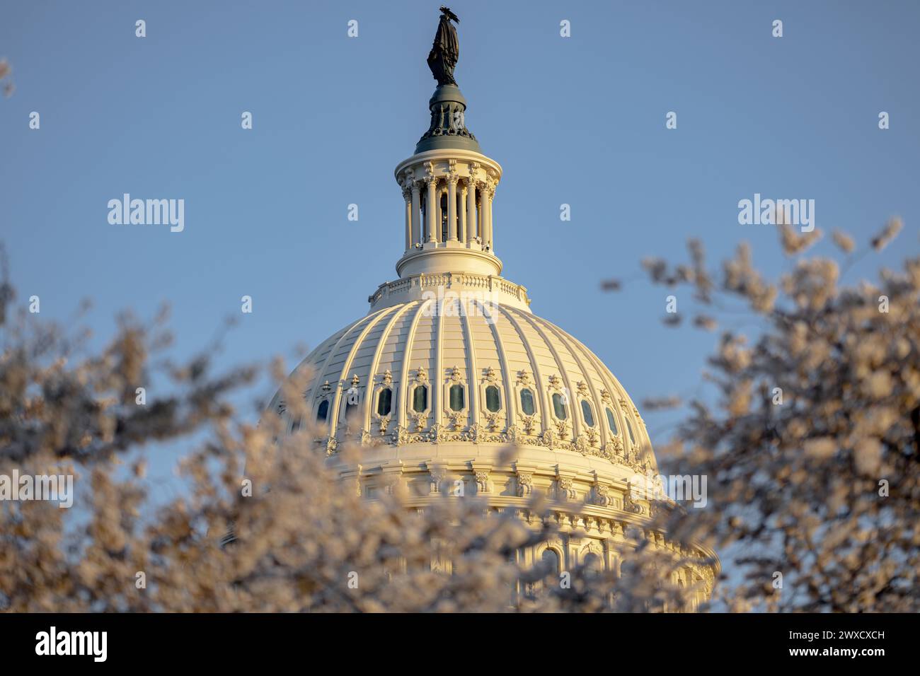 Washington DC, Capitol Building, Supreme Court, Washington monument ...