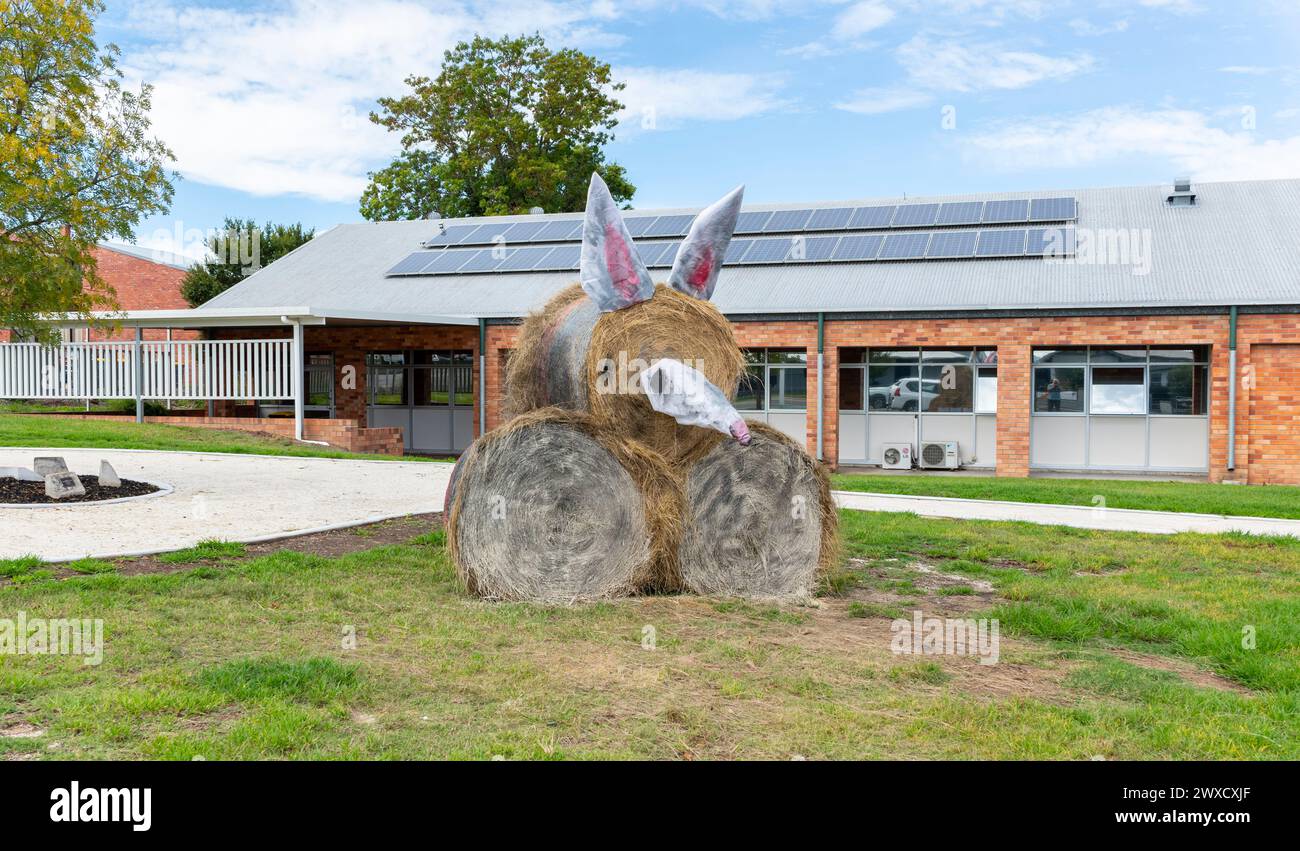 entrants in the hay bale trail street art competition at the ...