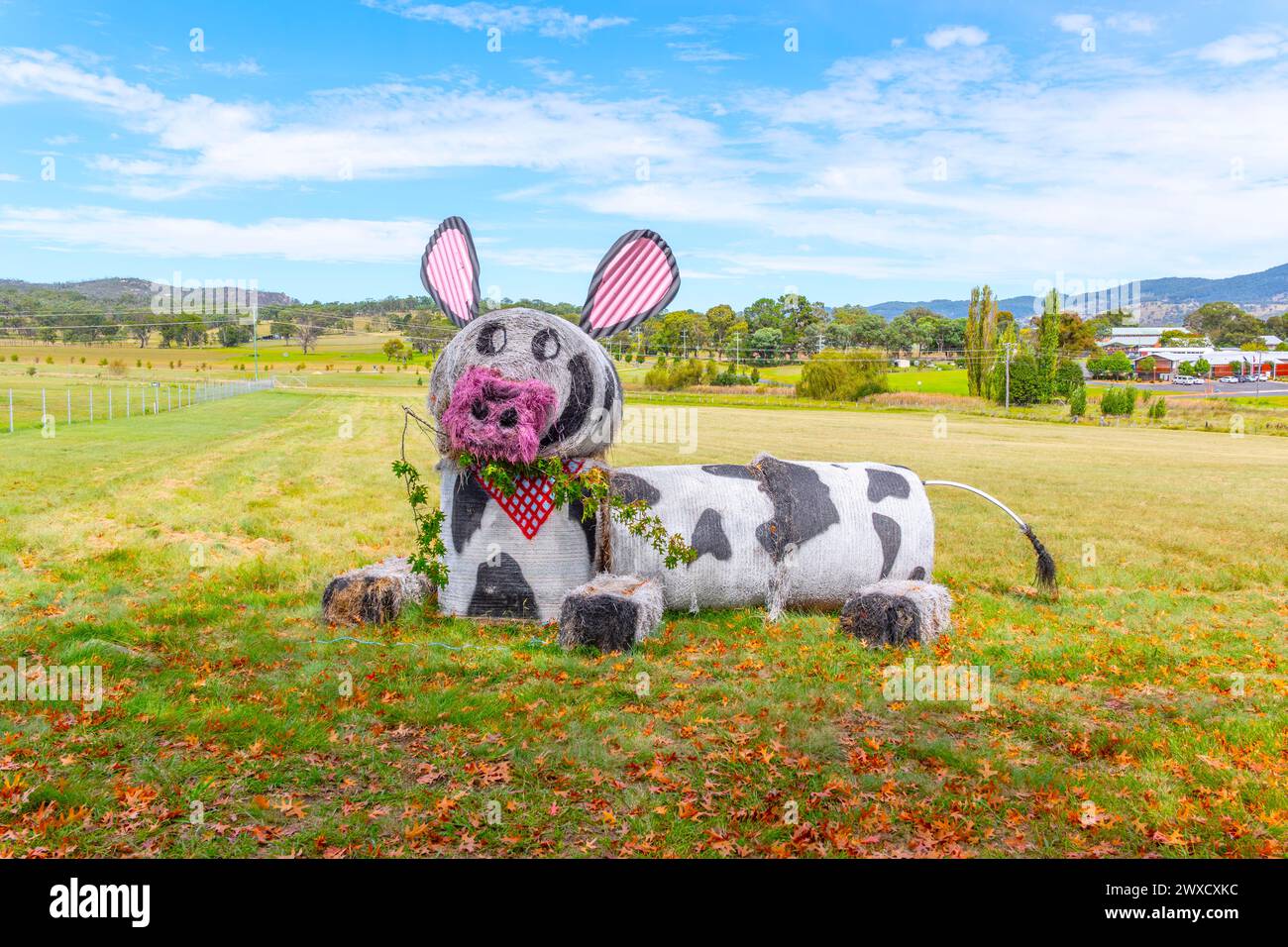 entrants in the hay bale trail street art competition at the ...