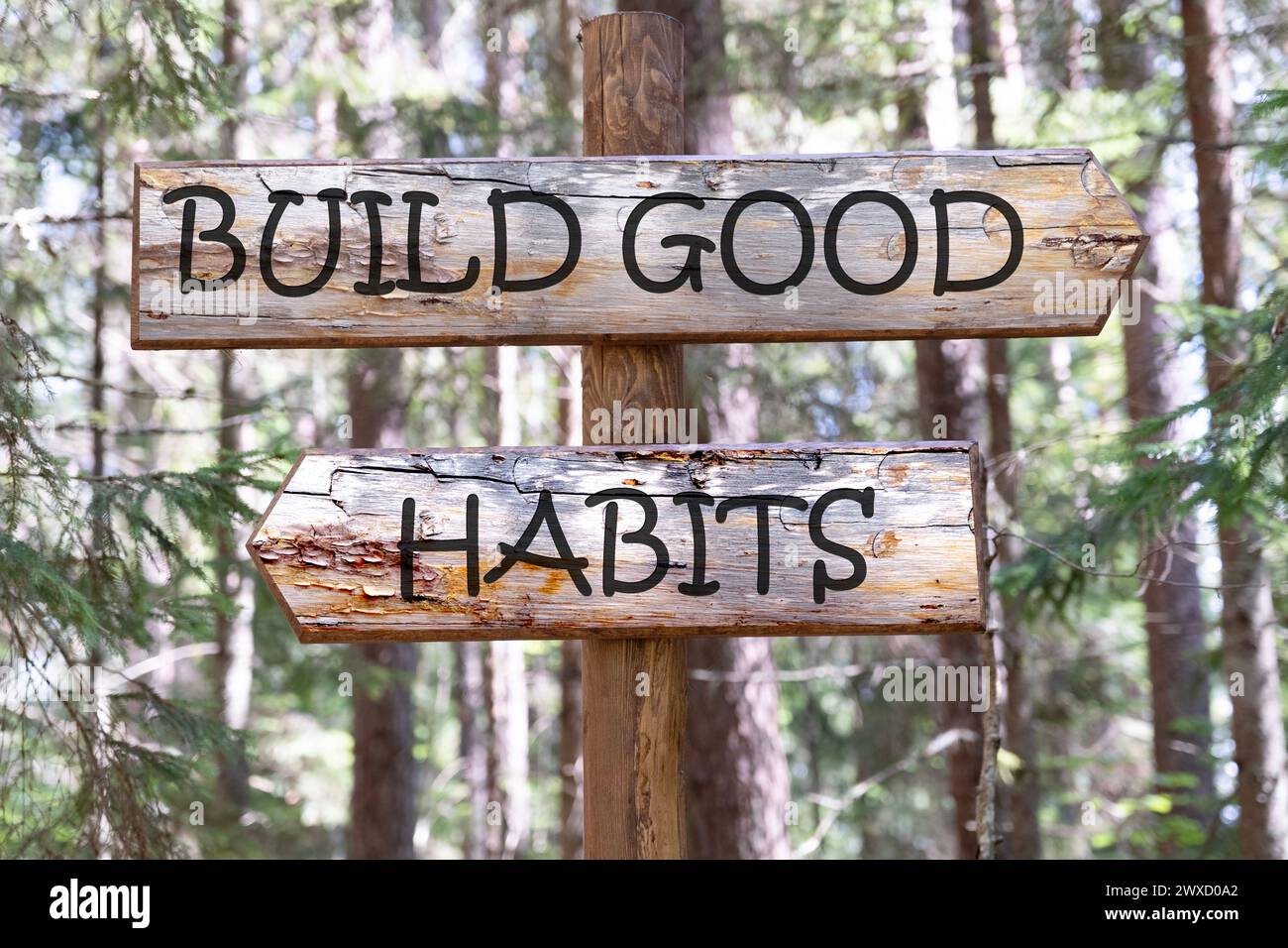 BUILD GOOD HABITS motivational concept text on a wooden signpost ...