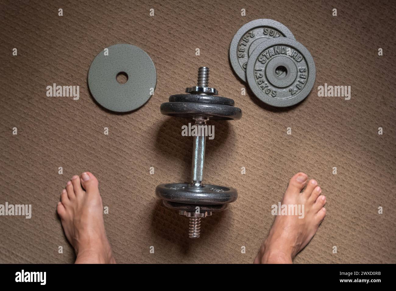 Old used gym weights. Close up on worn dumbbell, fitness equipment in ...