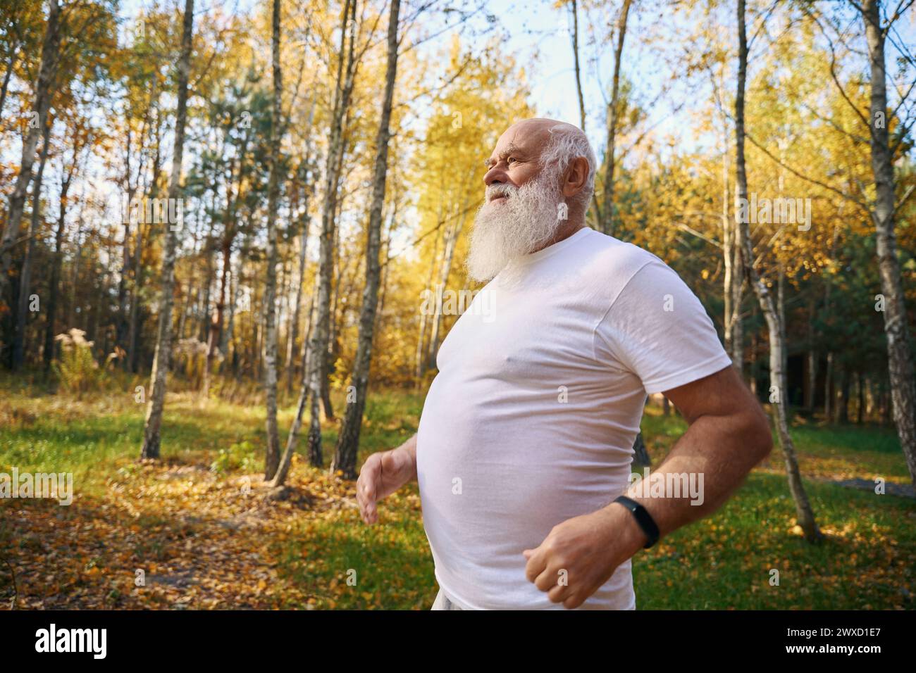 Cheerful old man on a morning jog in forest clearing Stock Photo - Alamy