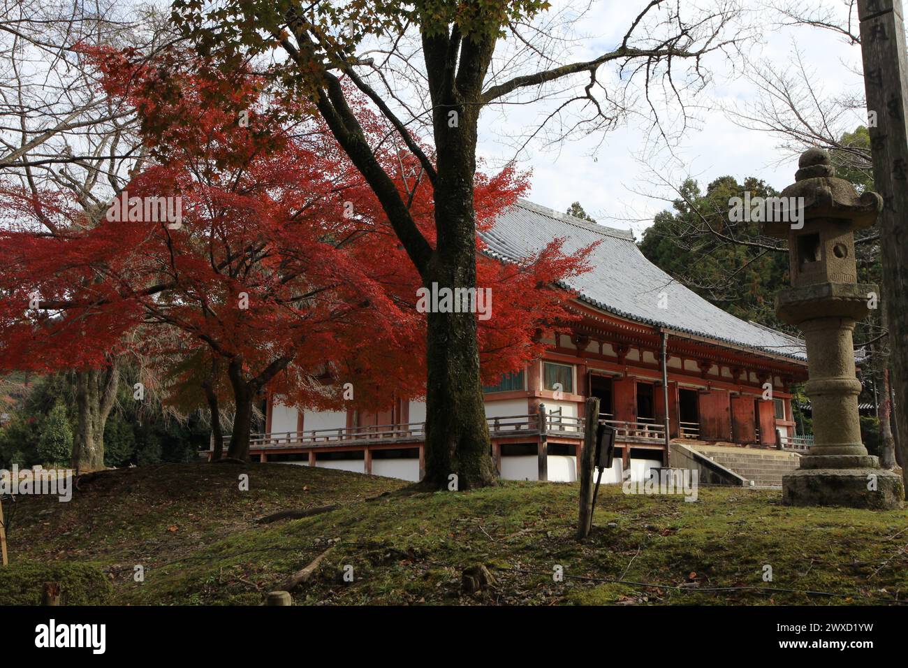 Kondo hall hi-res stock photography and images - Alamy