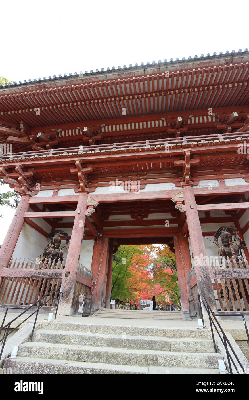 Autumn leaves and gate hi-res stock photography and images - Alamy