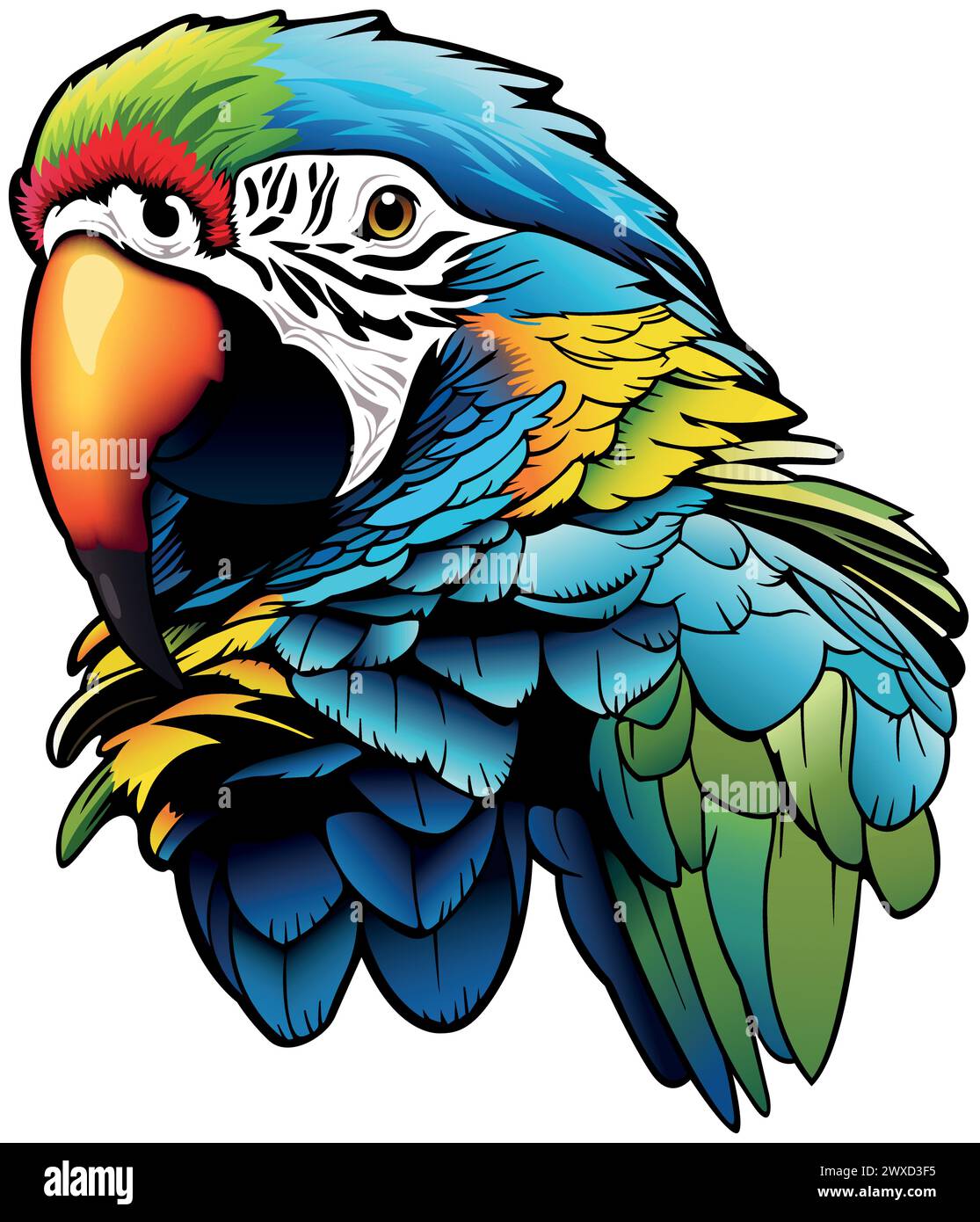Rainbow parrot drawing hi-res stock photography and images - Alamy
