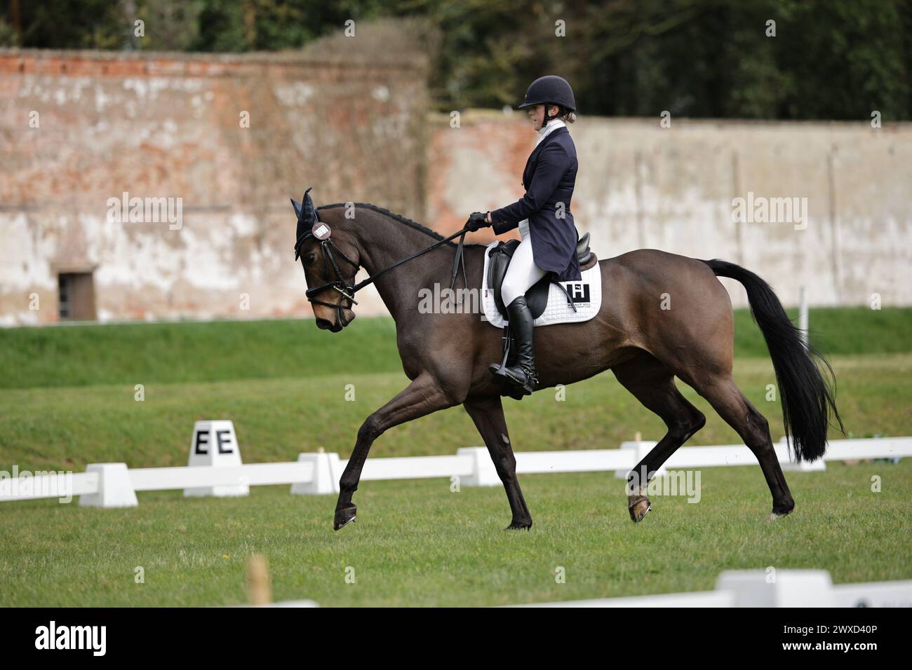 Grace Taylor of the USA with Game Changer during CCI4*-S Grantham Cup ...
