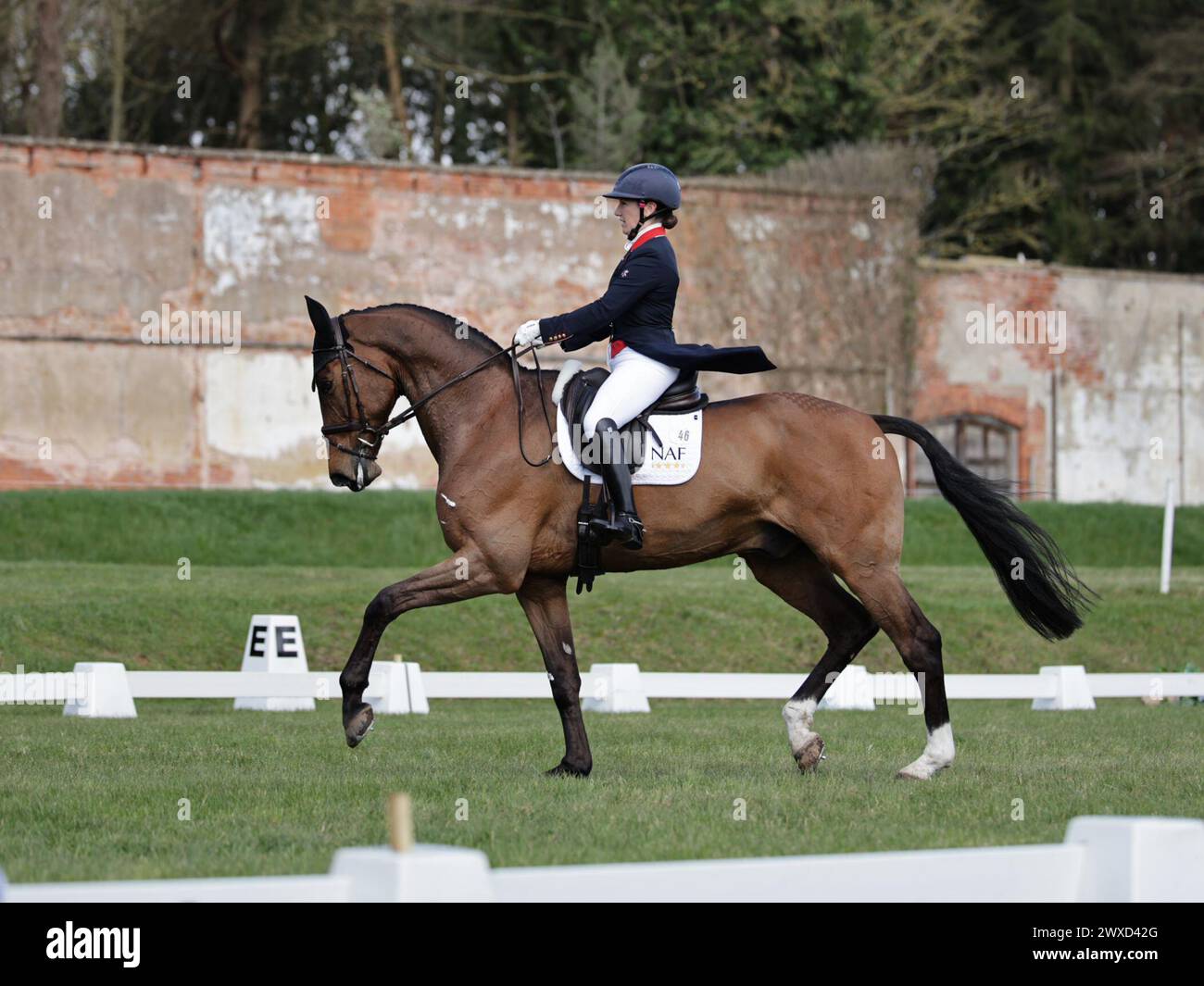 Laura Collett of the United Kingdom with London 52 during CCI4*-S ...