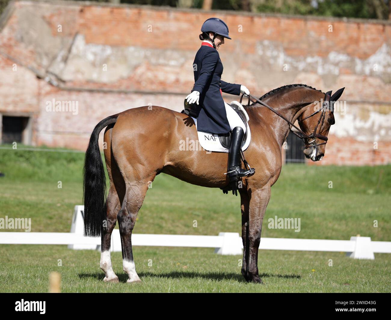 Laura Collett of the United Kingdom with London 52 during CCI4*-S ...