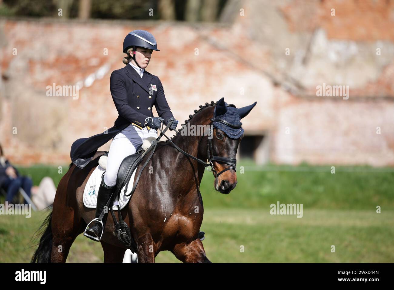 Felicity Collins of the United Kingdom with RSH Contend Or during CCI4 ...
