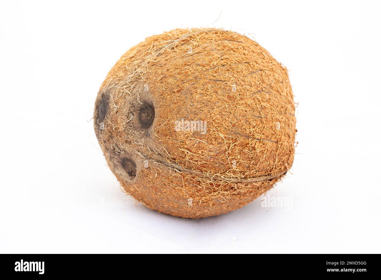 Piece coconuts on white Cut Out Stock Images & Pictures - Alamy